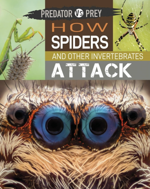 Predator vs Prey: How Spiders and other Invertebrates Attack - Best ...