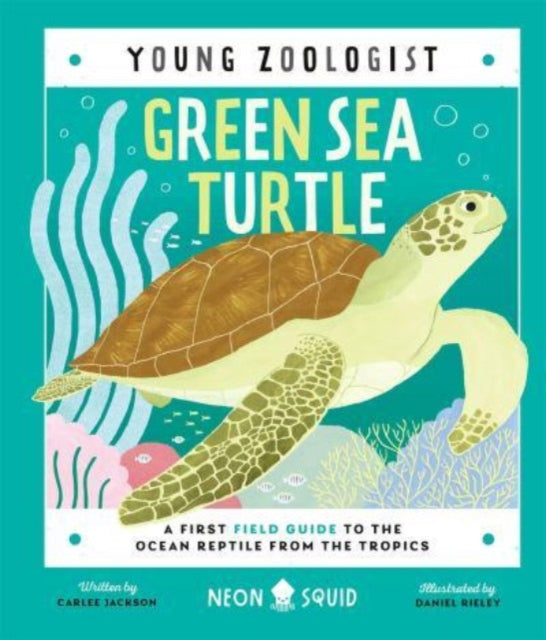 Green Sea Turtle - Best Books for Schools